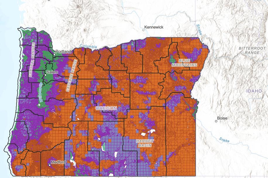 State issues Wildfire Hazard Maps - NewsBreak