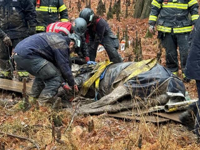 Virginia firefighters rescue used sled to horse stuck in mud - NewsBreak