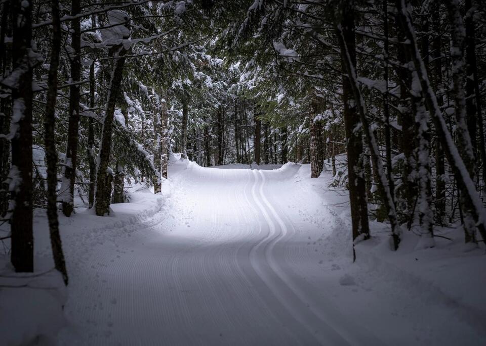 This Bridge Perfectly Embodies The Spirit Of Michigan - NewsBreak