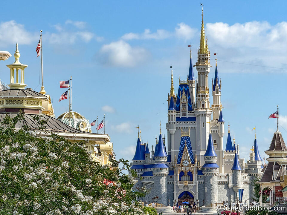 8 Disney Essentials That Make Summer 10x More Bearable - NewsBreak