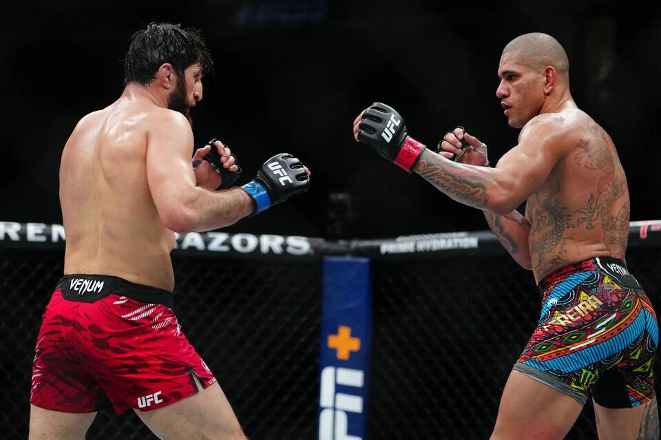 Alex Pereira Says Next Fight Is Close to Announcement While Reacting to ...