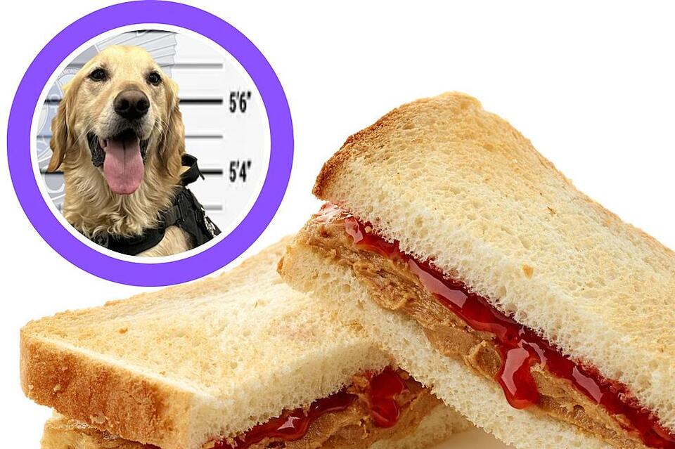 Stolen Peanut Butter Sandwich Has Kentucky Police Investigating One of ...