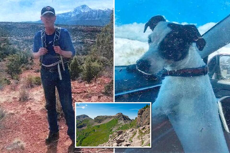 Tragic hiker’s ‘loyal’ dog lost half her body weight staying with his ...
