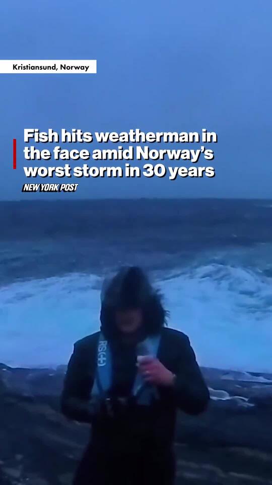 Fish hits weatherman in the face amid Norway's worst storm in 30 years ...