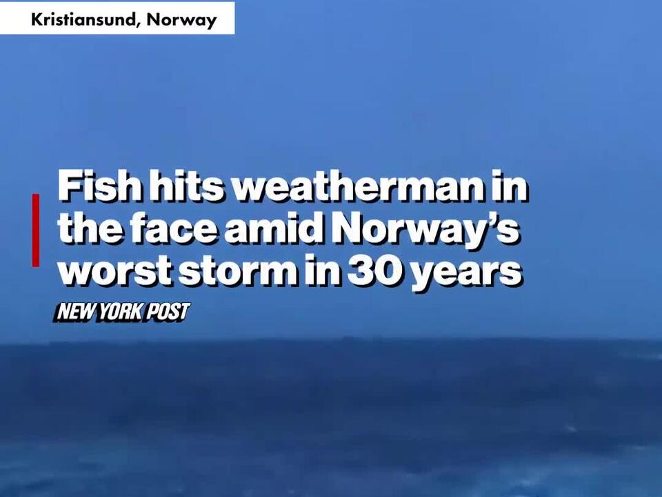 Fish hits weatherman in the face amid Norway's worst storm in 30 years