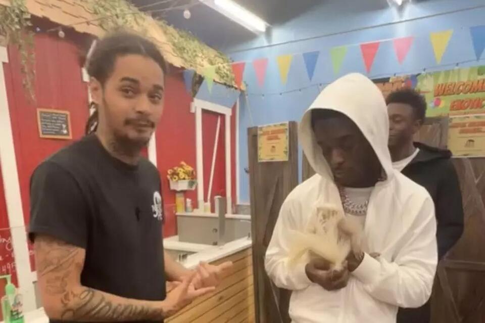 Lil Uzi Vert Has a Rare Albino Skunk With Unique Cross Marking on Its ...