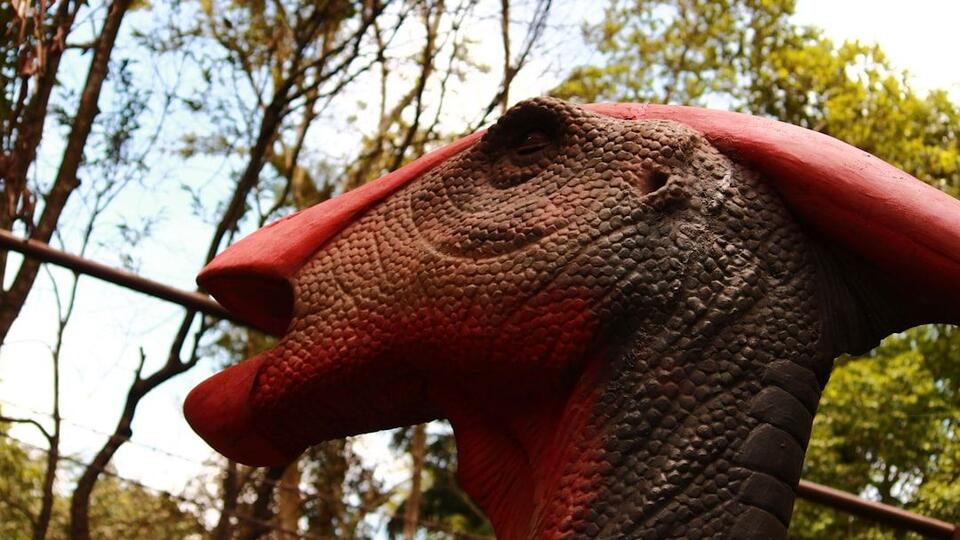 Did Dinosaurs Sing? Exploring the Sounds of the Prehistoric World ...