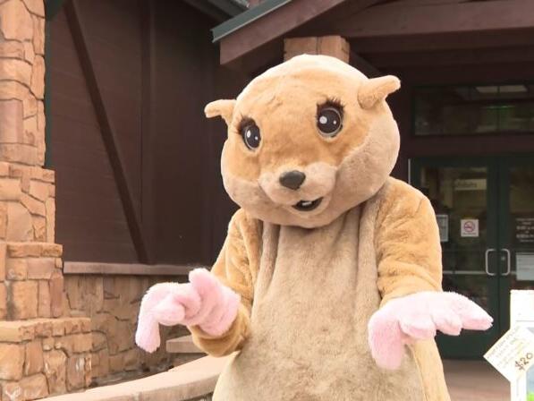 Utah prairie dogs went from near-extinction to conservation success ...