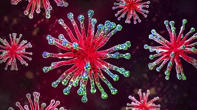 New Virus Discovered In US Raises Pandemic Fears - NewsBreak