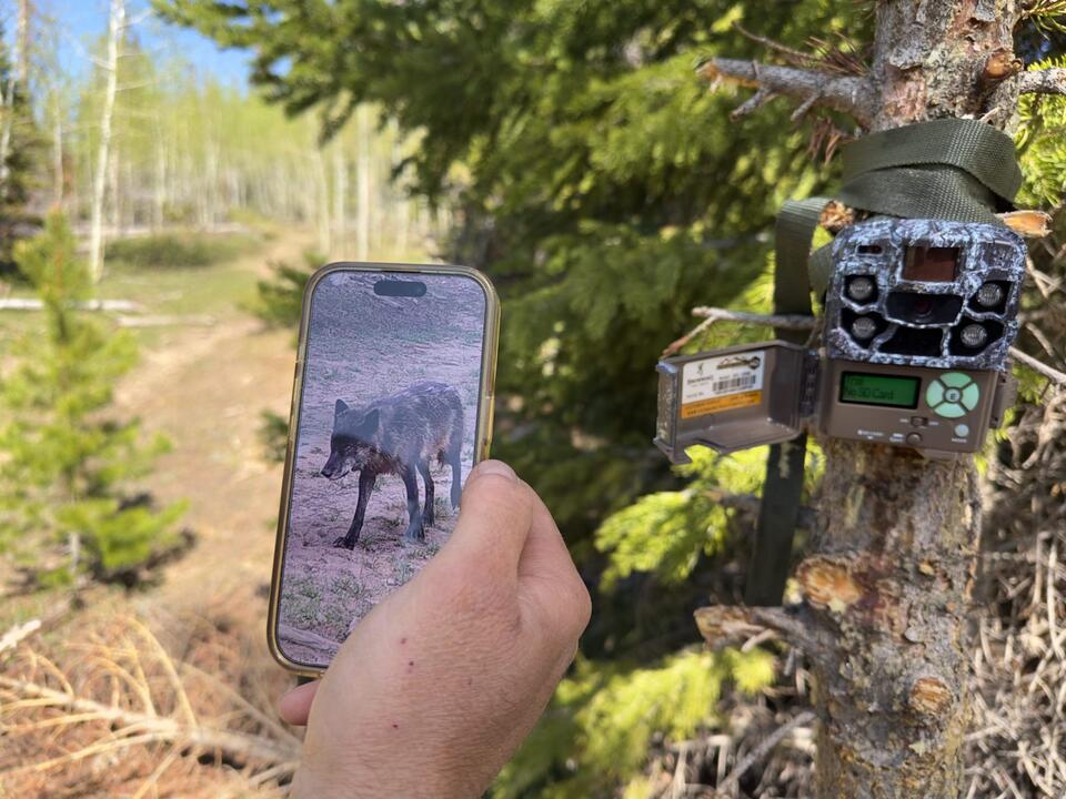 How a Grand County resident is using collaboration, AI and new tech to help producers dealing ...