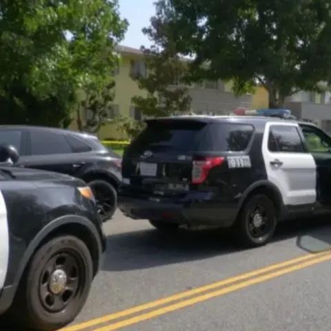 Domestic violence suspect crashes into LAPD car while running away from police - NewsBreak