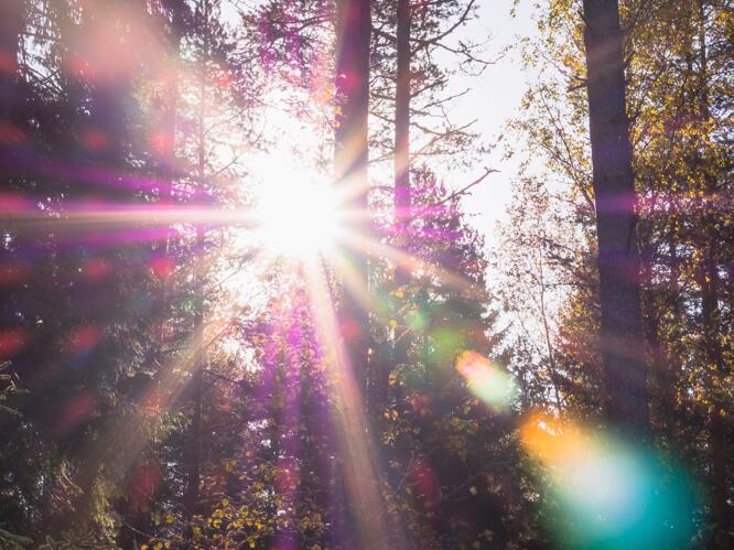 Thursday sun alert in Salem — 3 ways to take advantage of it