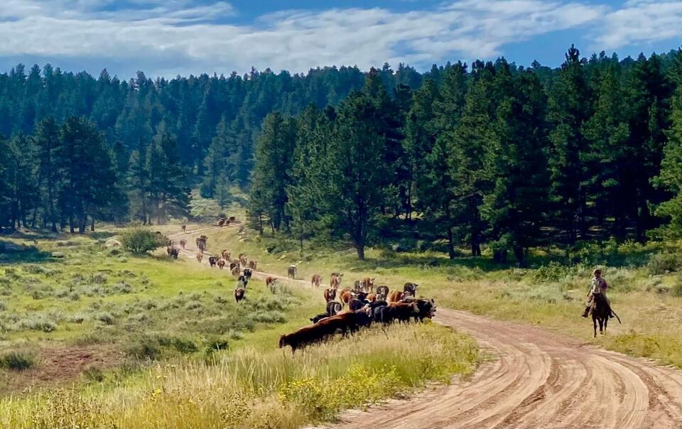 Sixth-Generation Ranchers, Wyoming Roots: The Brooks-McCleary Family ...