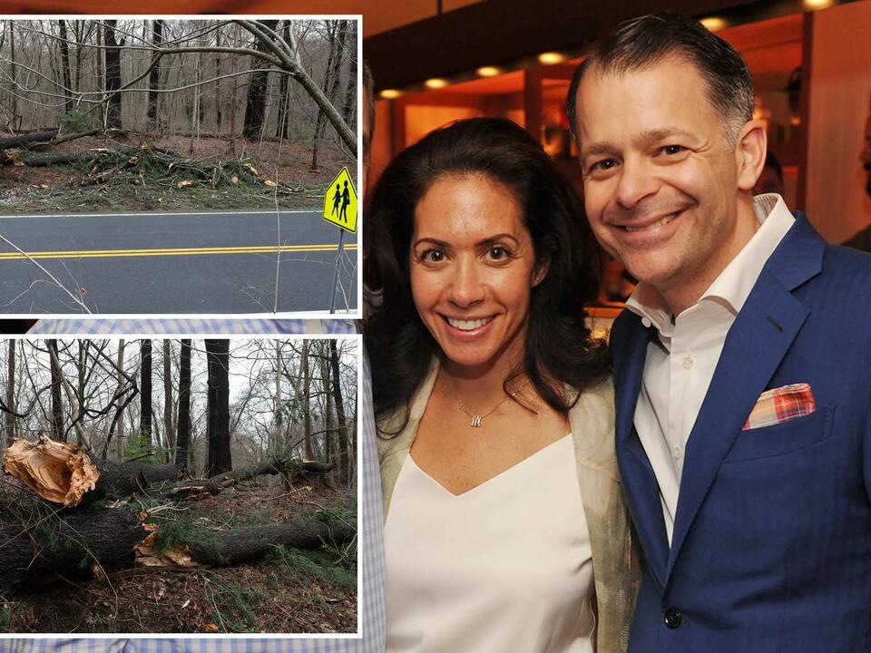NY mom crushed by tree during vicious rainstorm ID’d as wife of Yankees ...