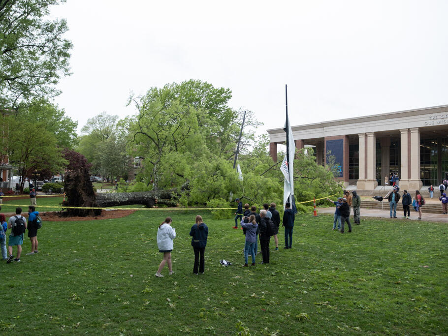 Getting to the root of potential causes for UM’s fallen trees