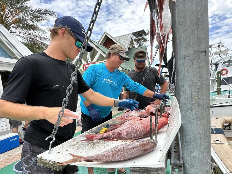 'I wouldn’t take my family out in that': Rain washes out snapper's 1st ...