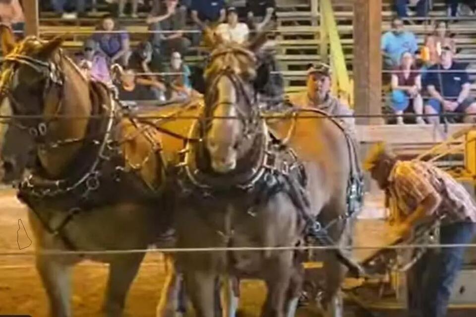 5 Things You Need to Know About New Hampshire’s Hopkinton Fair - NewsBreak