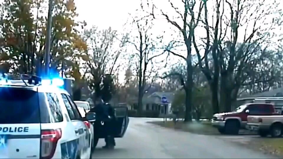 A police officer accidentally tased his partner while detaining a ...