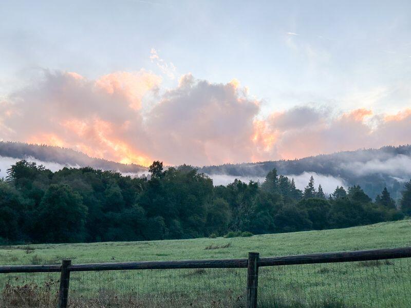 Singer-Songwriter’s New Single Born from a View of the Felton Meadow ...