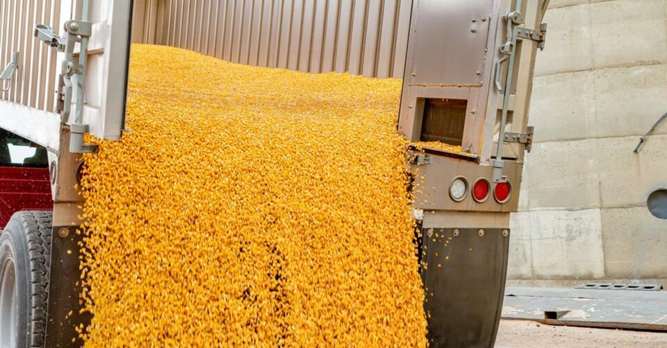 Record corn crop expected, and USDA forecasts price pressures - NewsBreak