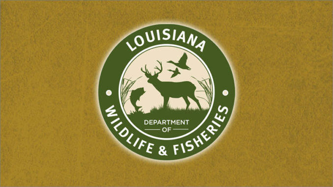 LDWF agent cites three subjects for waterfowl hunting violations in ...