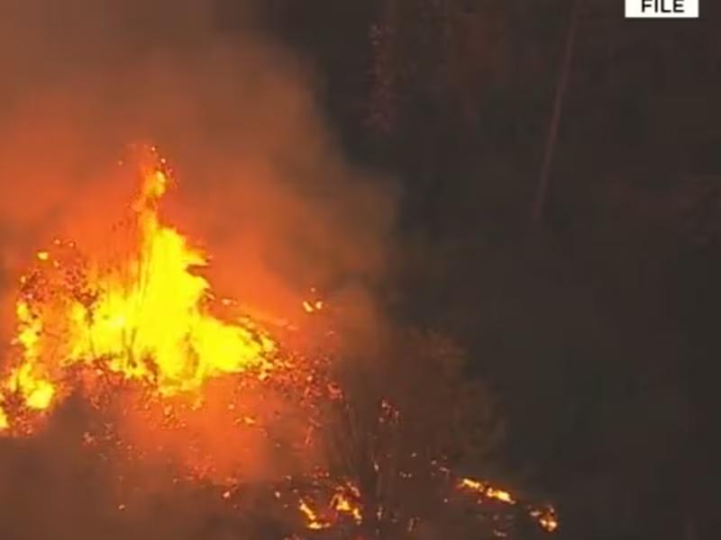 Slate Fire brings back memories of 2020 Detroit fire destruction