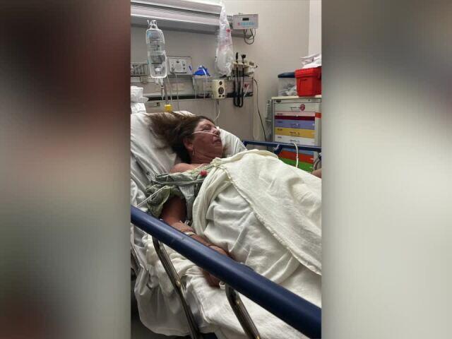 Woman still recovering after bee stings, family considering legal ...