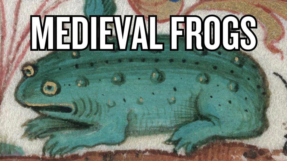 The Medieval Frog: From Healing Charm to Cautionary Tale - NewsBreak