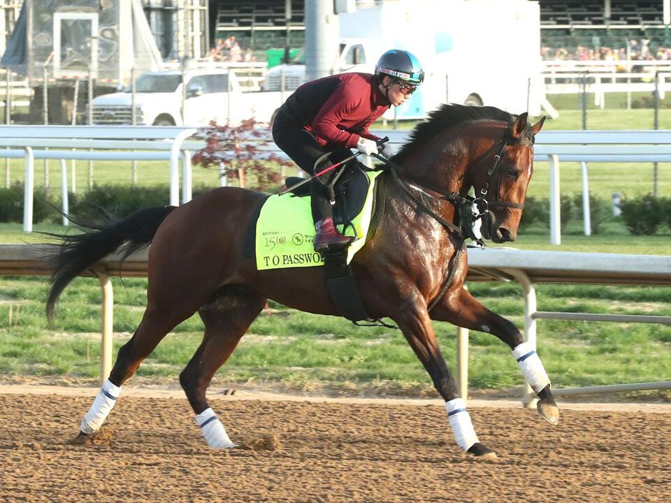 Kentucky Derby Fifth T O Password To Spell After Surgery To Remove Bone ...