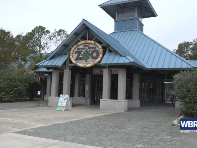Baton Rouge Zoo could regain national accreditation later this month