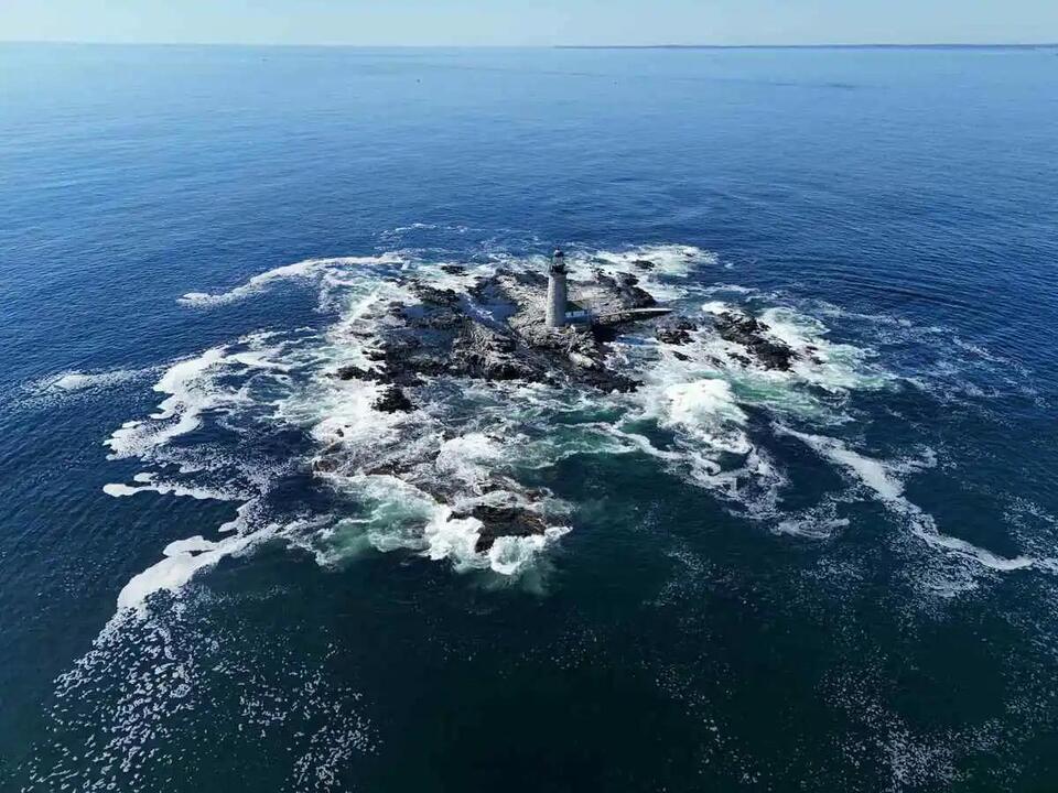 Maine paddleboarder’s 5-mile trip to photograph seals ends with rare ...