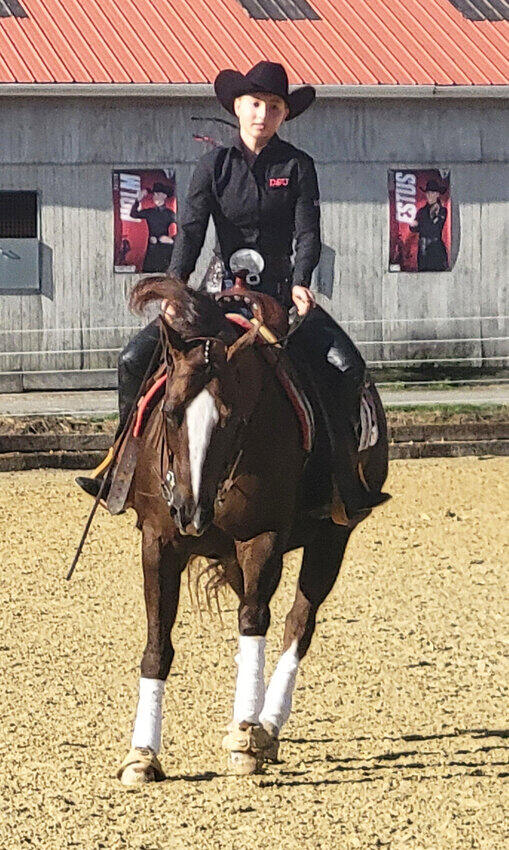 DSU equestrian team loves its new stables nearby - NewsBreak