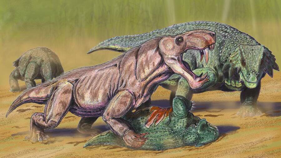 The Ancient World’s Most Powerful Predators Weren’t Always Dinosaurs ...