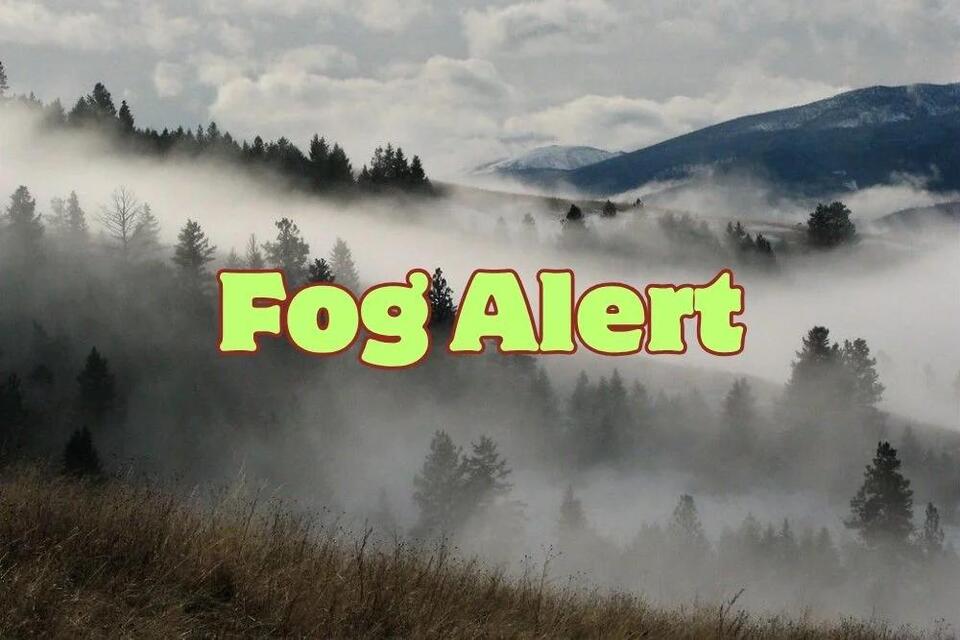Virginia Fog Alert: Low Visibility Overnight May Impact Drivers Across ...