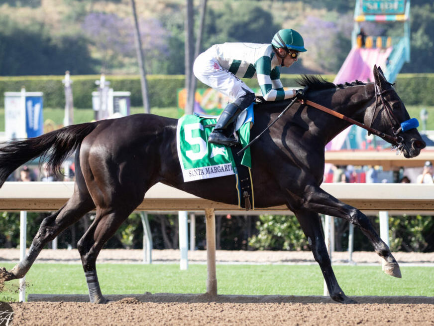 Del Mar Picks | Clement L. Hirsch Stakes 2024 [Breeders’ Cup Distaff]