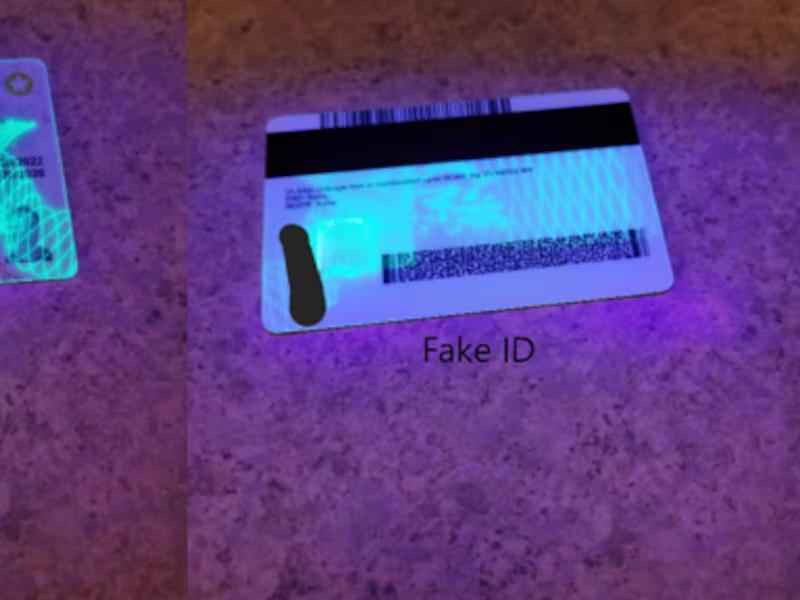 Sheriff’s Office warns of fake ID cards in Polk Co.