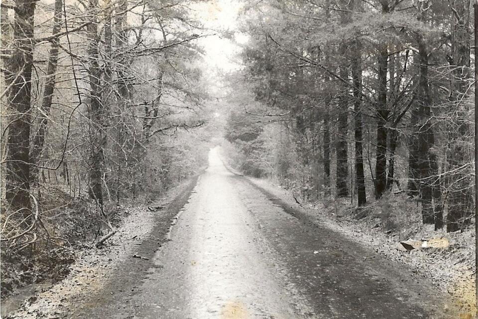 Do You Remember Tyler’s ‘Werewolf Road’? - NewsBreak