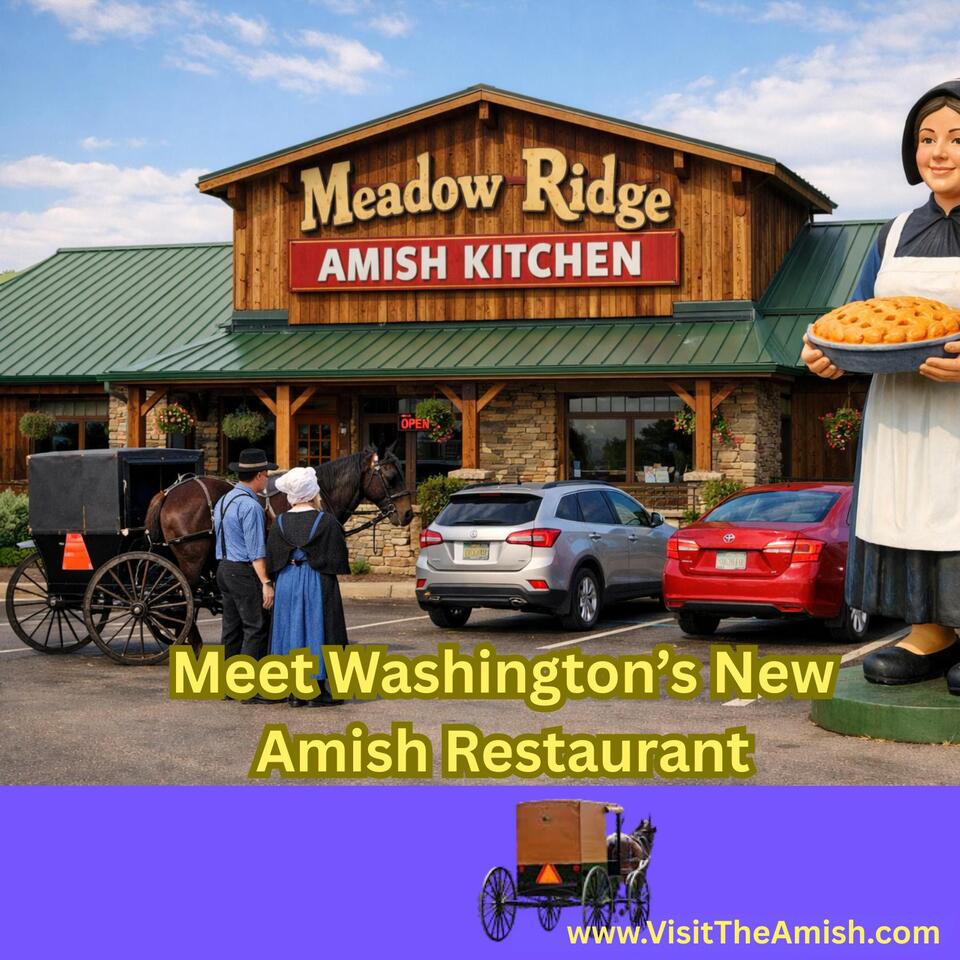 Skip the Chains: This Amish Restaurant in Washington, PA Feels Like ...