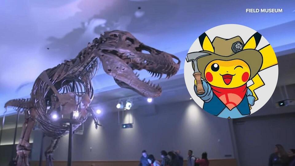 A ‘Pokémon’ Fossil Exhibit is Coming to a Chicago Museum - NewsBreak