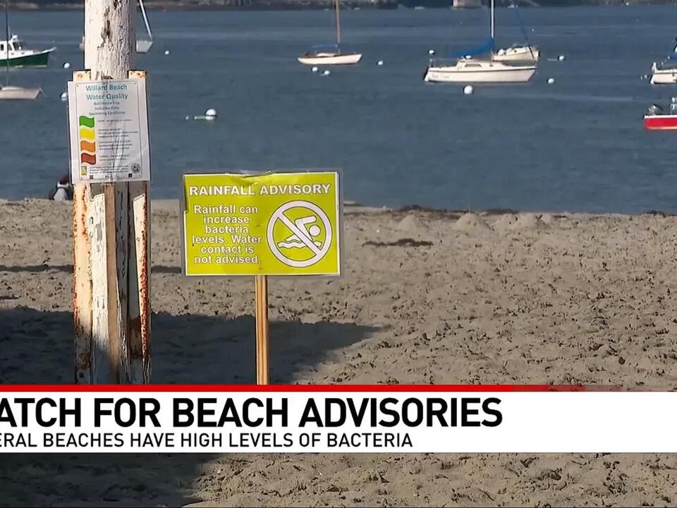 Officials urges swimmers to check bacteria levels amid beach warnings
