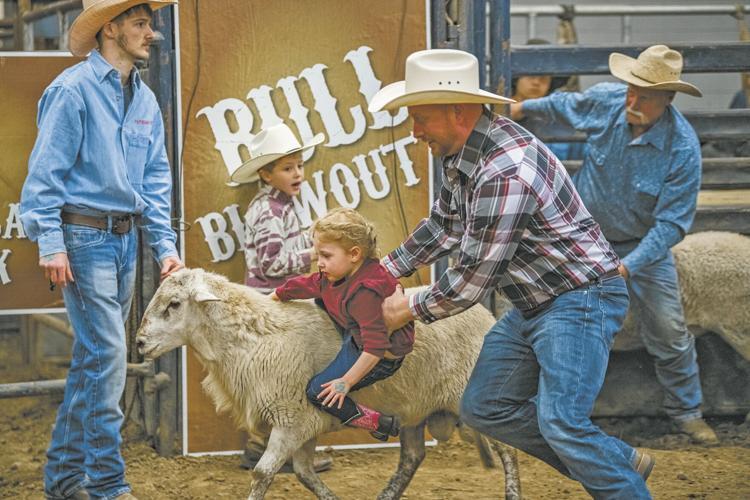 Bull Blowout returns to Cherry Expo Center this weekend - NewsBreak
