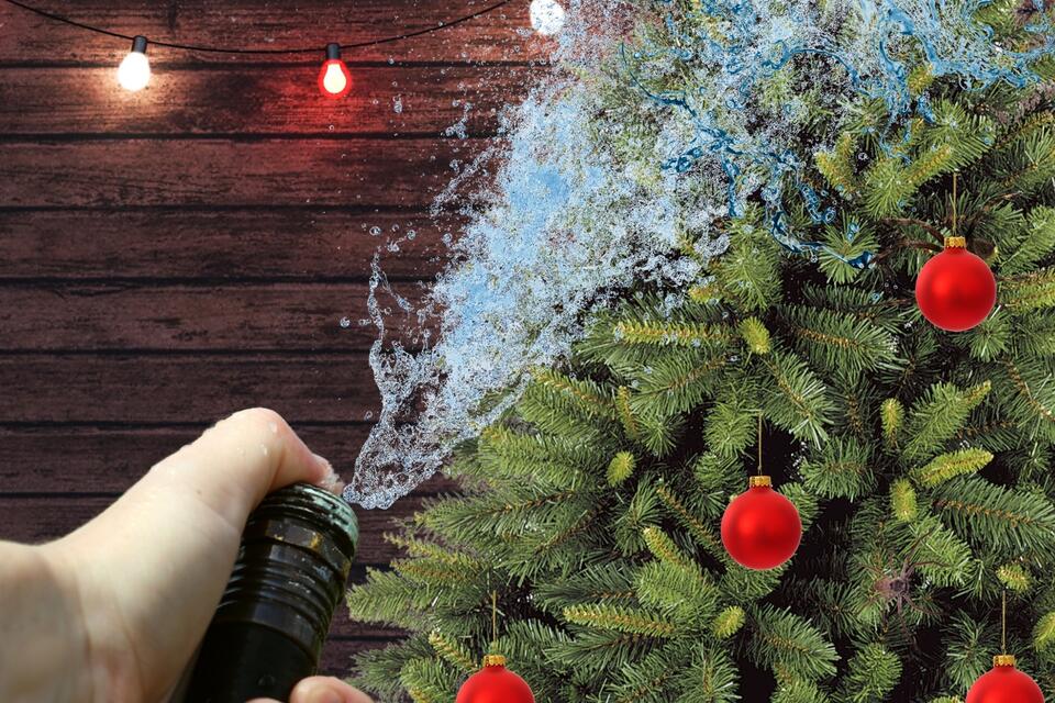How Washing Christmas Trees Became A Viral Trend - NewsBreak