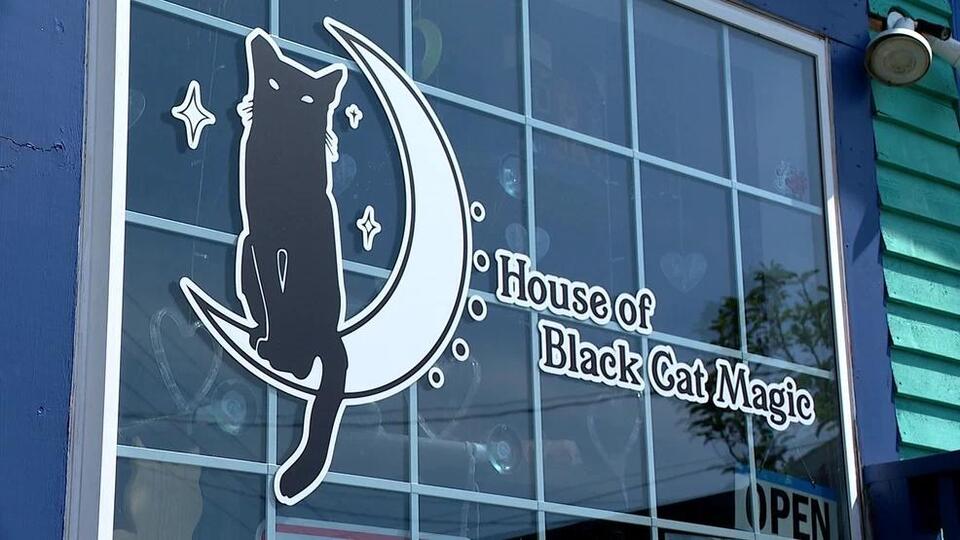 House of Black Cat Magic paws its way into USA Today’s Best Cat Cafe ...