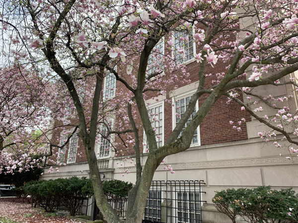 Ithaca man sentenced to 25 years to life in November death of his wife ...