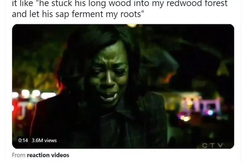 Taylor Swift fans are convinced that Wood was inspired by this raunchy ...
