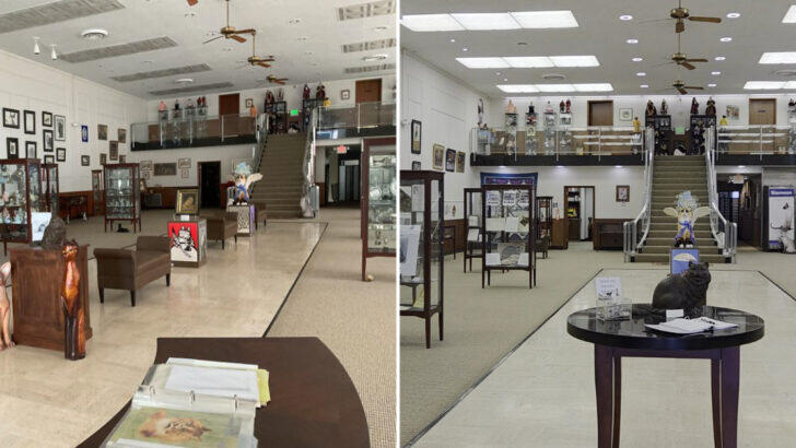 Inside America’s only official cat museum, where ancient Egypt meets ...