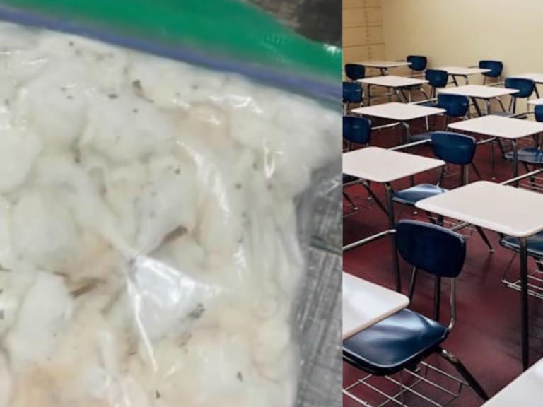 Black Middle School Students Given Cotton Pick And Clean During Slavery ...