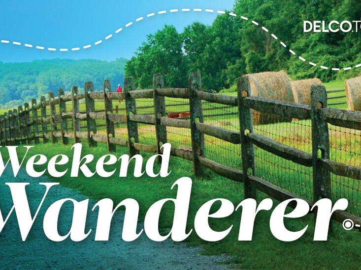 Weekend Wanderer: The Thriller I Just Watched Reminds Me of This Cherished Family Tradition