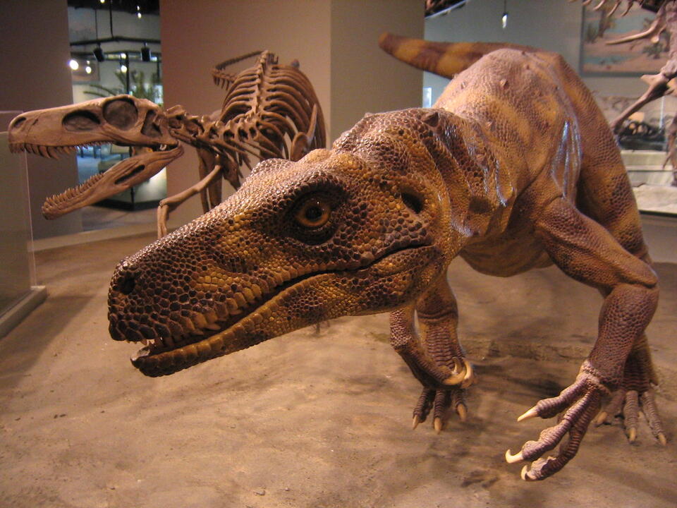 Beyond T-Rex: The True Apex Predators of Each Dino Era - NewsBreak