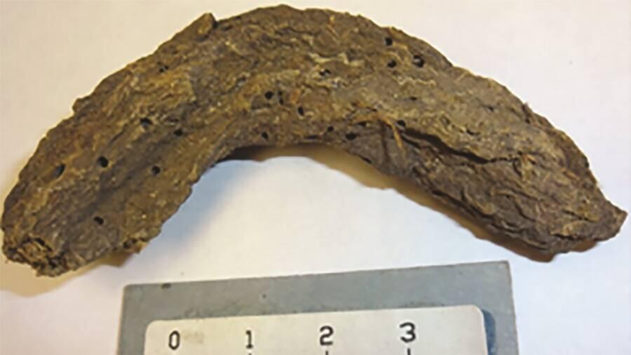 ‘A Biological Time Capsule’: Ancient Poop From Mexico’s Cave Of The ...